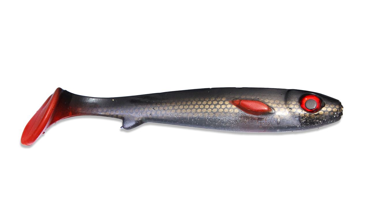 Flatnose Shad - Crystal Pike - Kanalgratis